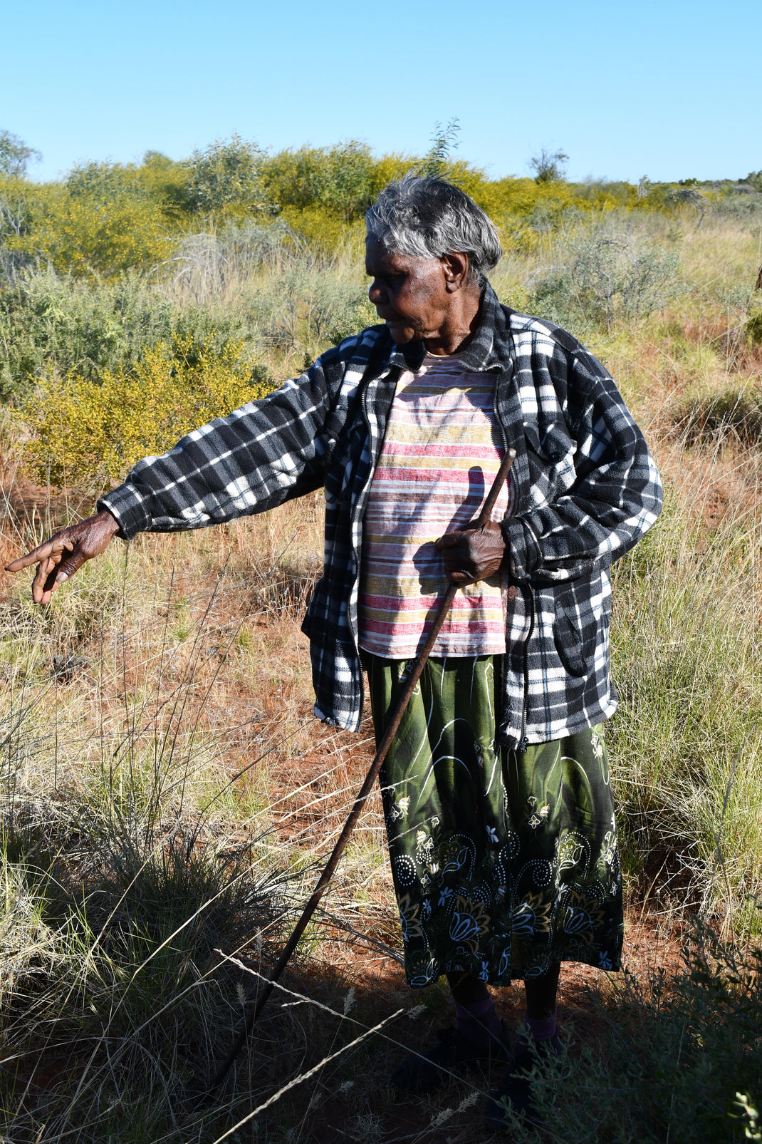 Doreen Nungala Murphy Rankine – Arlpwe Art and Culture Centre